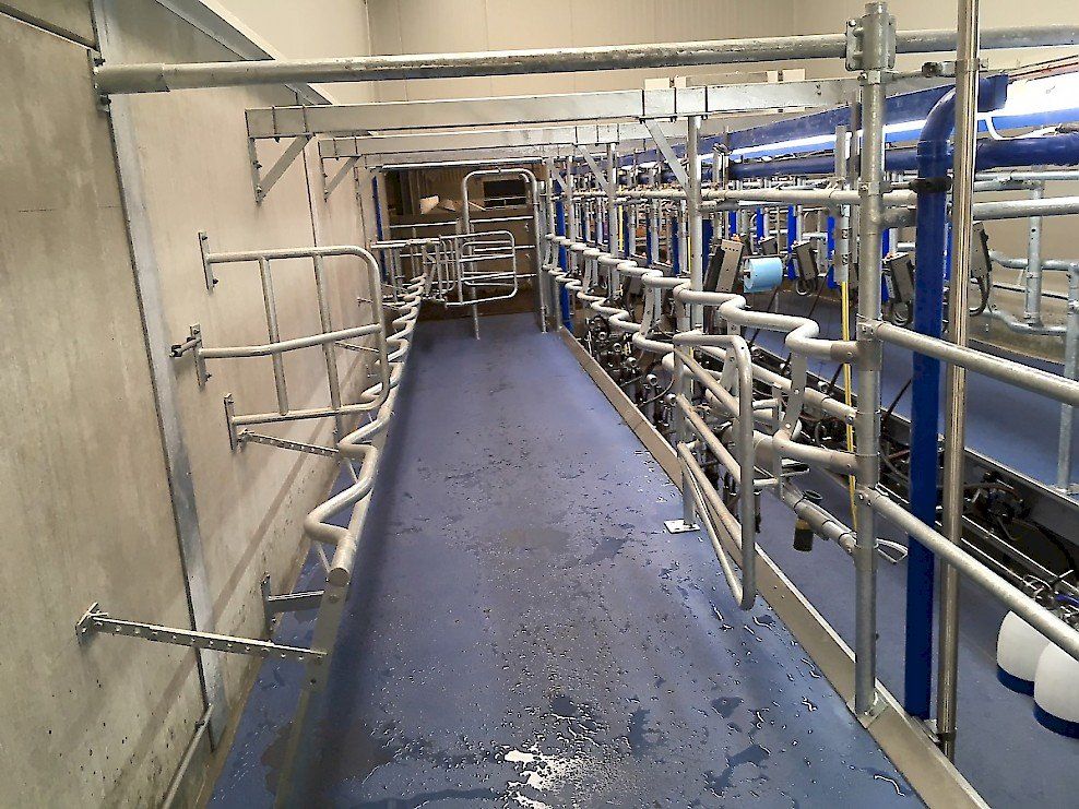 Nieuwe 2x10 50⁰ melkstal in gebruik genomen!
