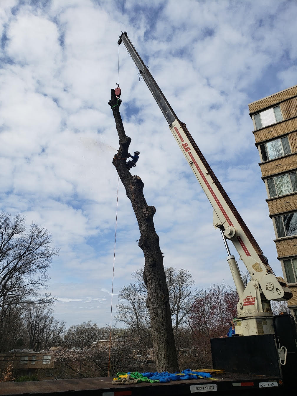 Tree Removal | Montgomery County MD J & B Tree Services