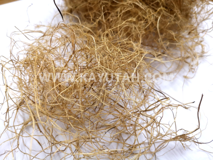 Kayutah Sdn Bhd - Biomass Drying Expert, Perak, Malaysia