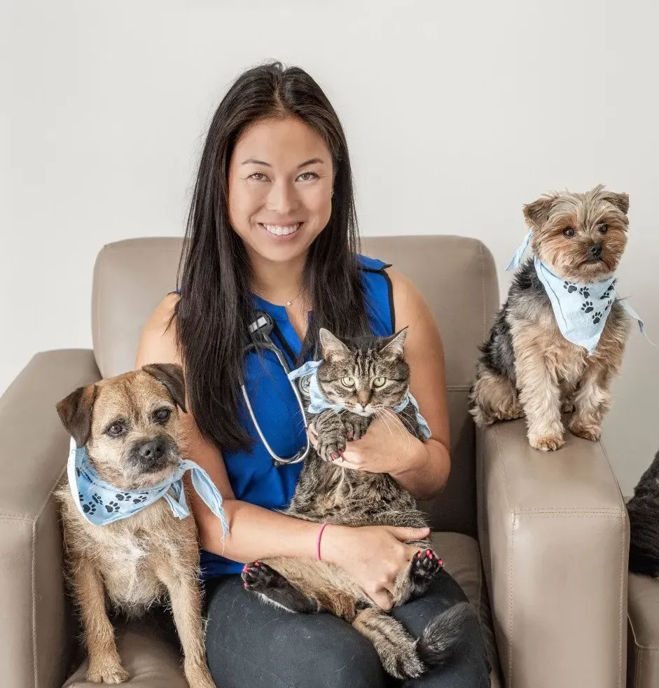 Pet Owners in Oakville, ON | Mac Animal Clinic