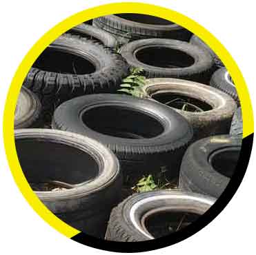 Obstacle Course Ottawa | MARKED: The Adventure Park