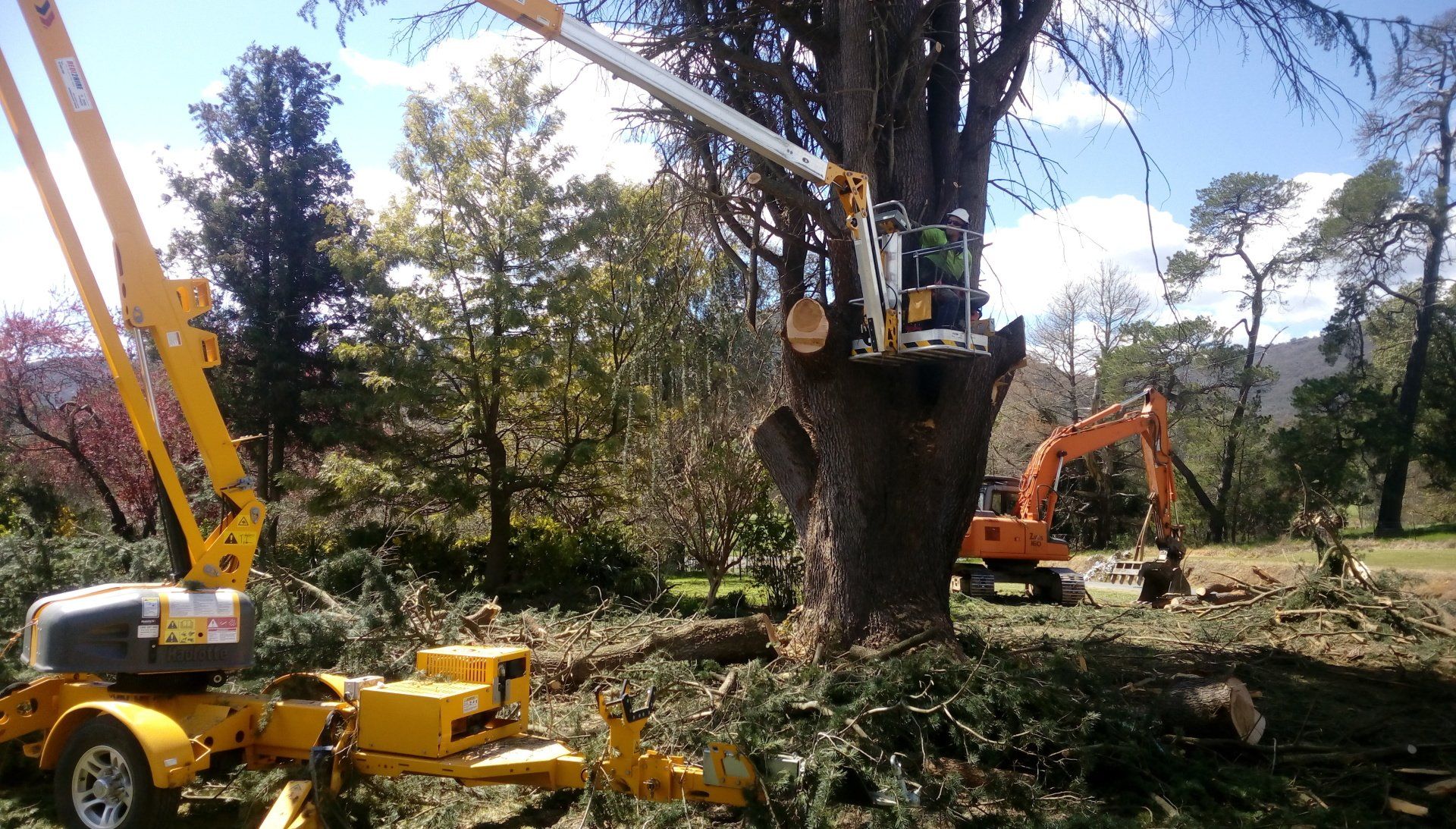 JUST TREES AUSTRALIA