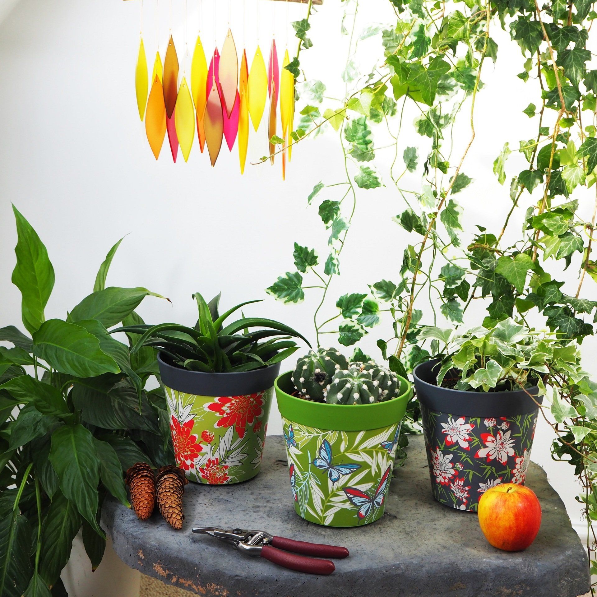 colourful plant pots by Hum