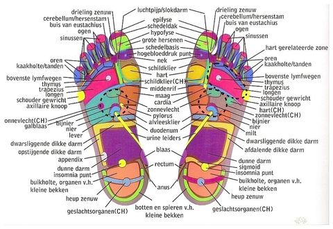 Jo's voetreflex Schagen