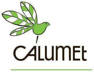 CALUMET, Medio Ambiente, Educación y Tiempo libre