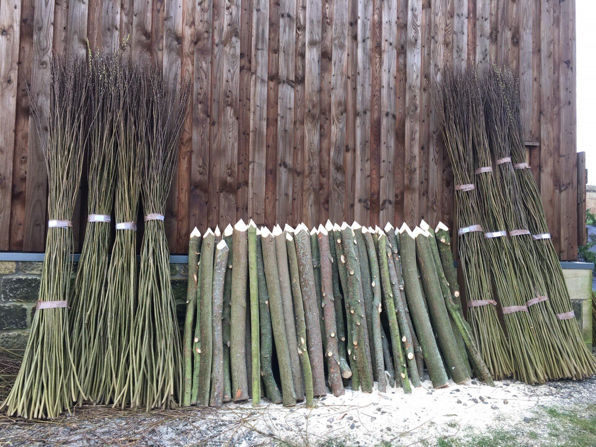 Sale of Willow Cuttings Willow Rods and Living Willow Structures