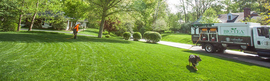 Lawn Services - Limbwalker Tree Service