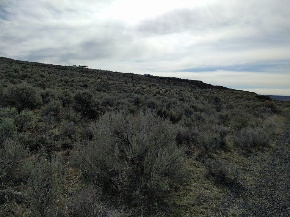 Washington Land for Sale | Cheap land for sale | Rimrock Meadows