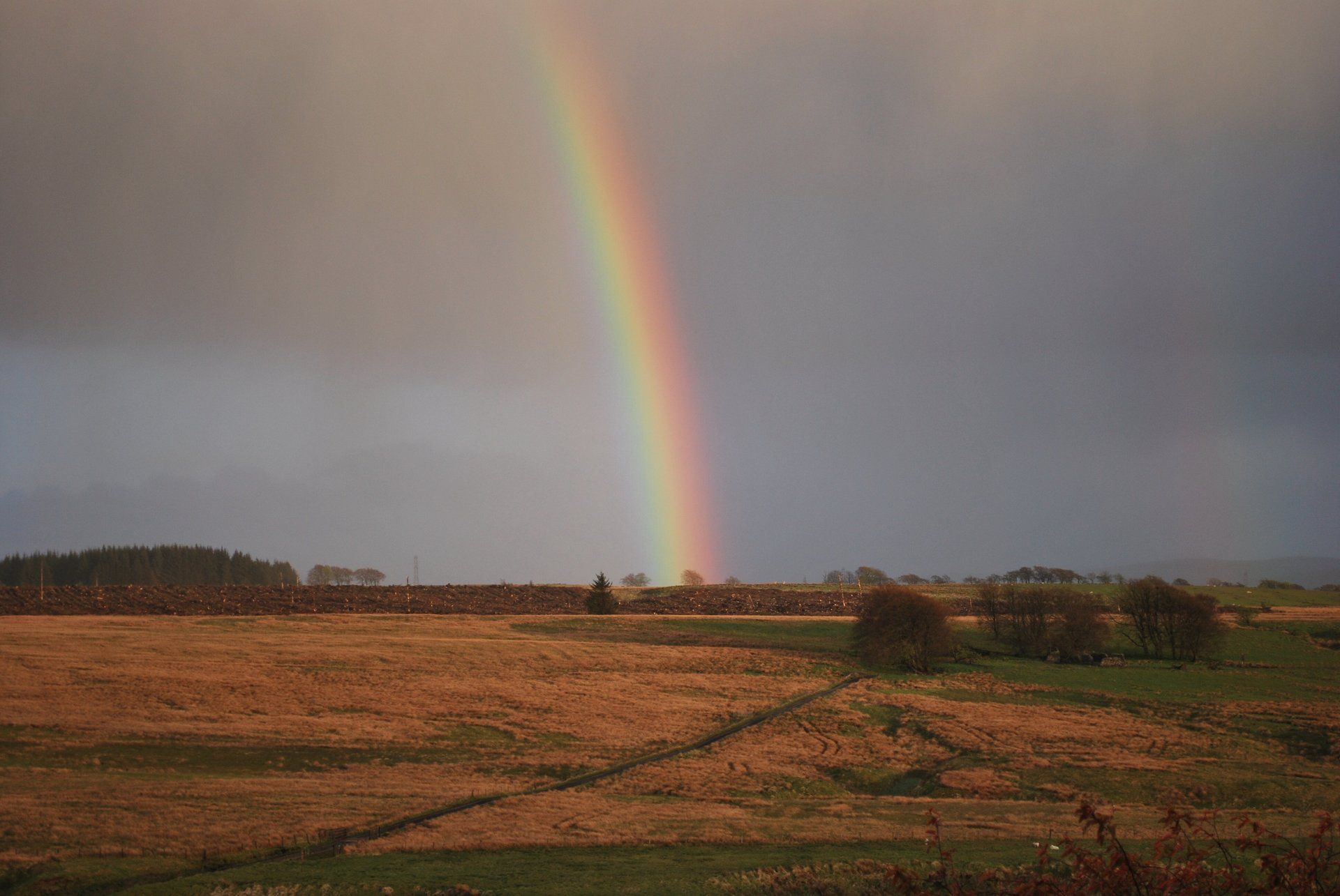 Lochfield Farm, cottages to let in Ayrshire