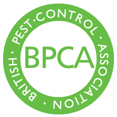 Treating woodworm | Devon Pest Control