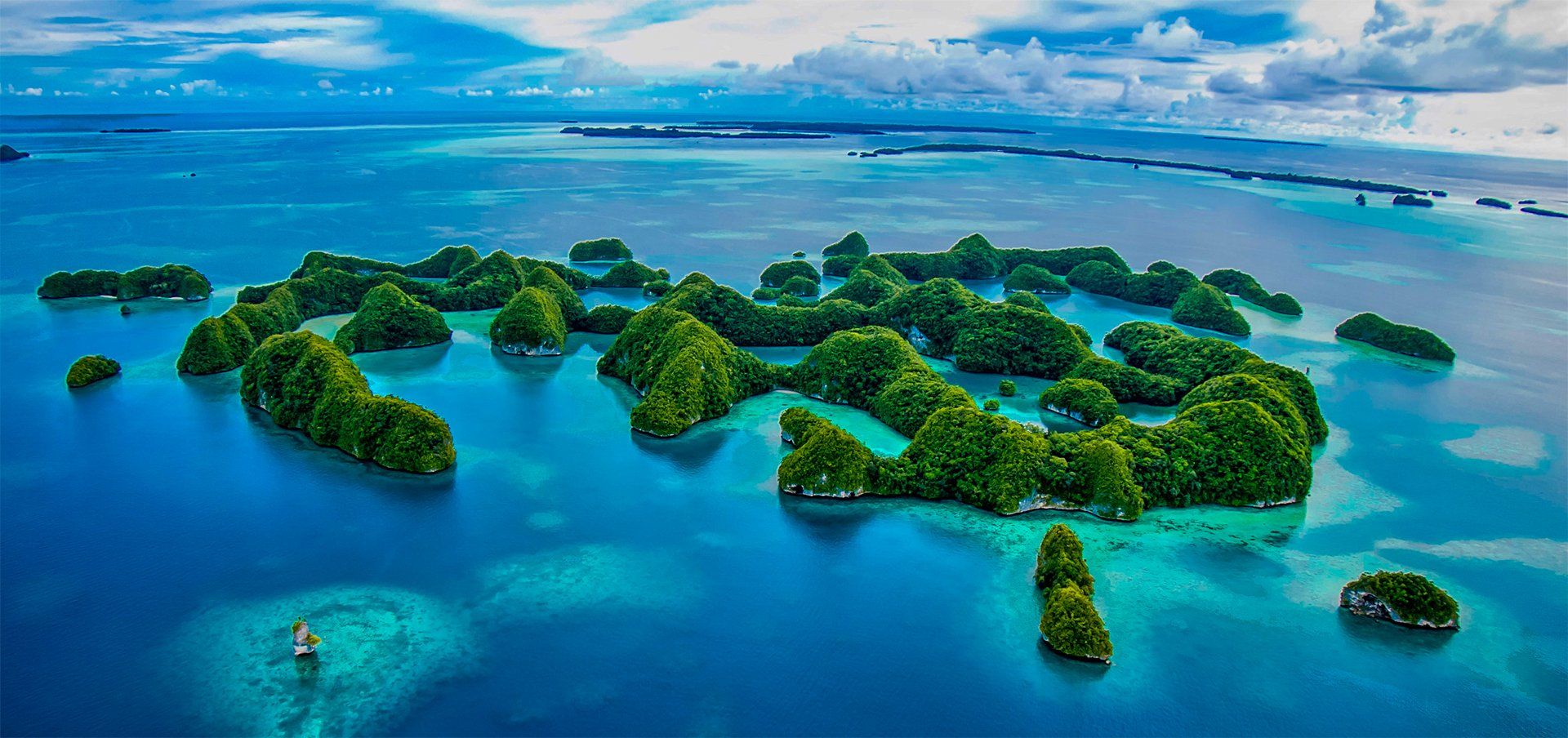 Palau 2022 | Diving aboard the Ocean Hunter | Travel Masters Group Trips