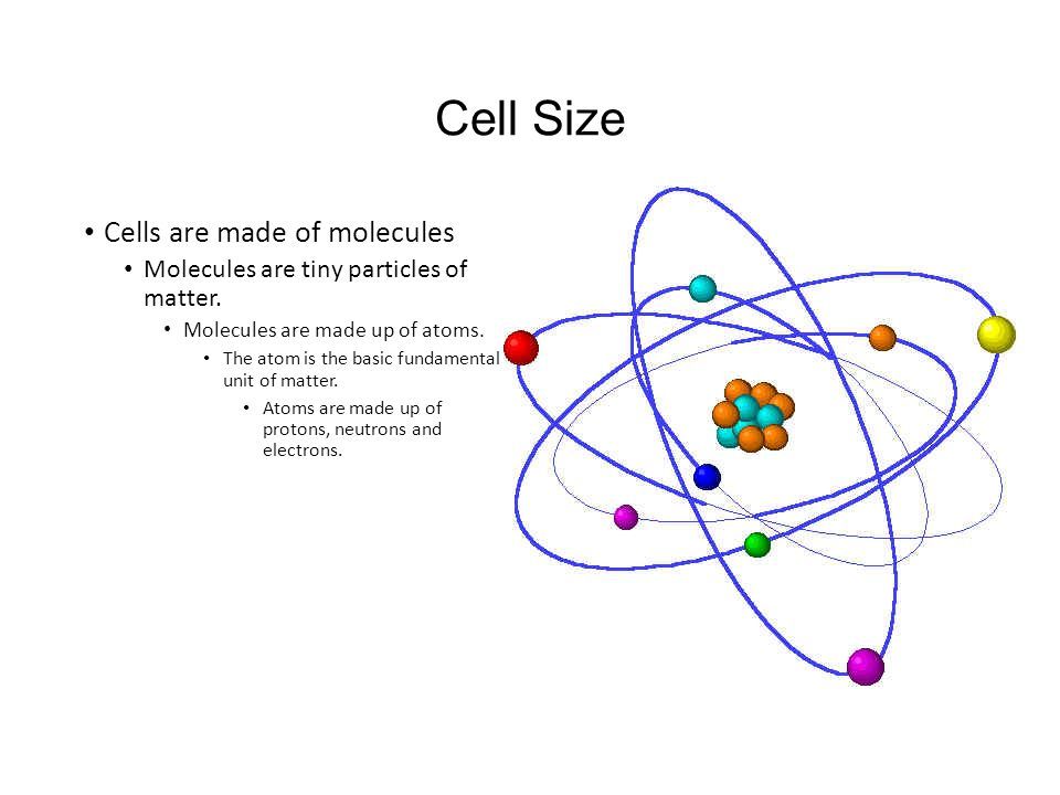 Galvanizing & Using Galvanized Fencing In Melbourne