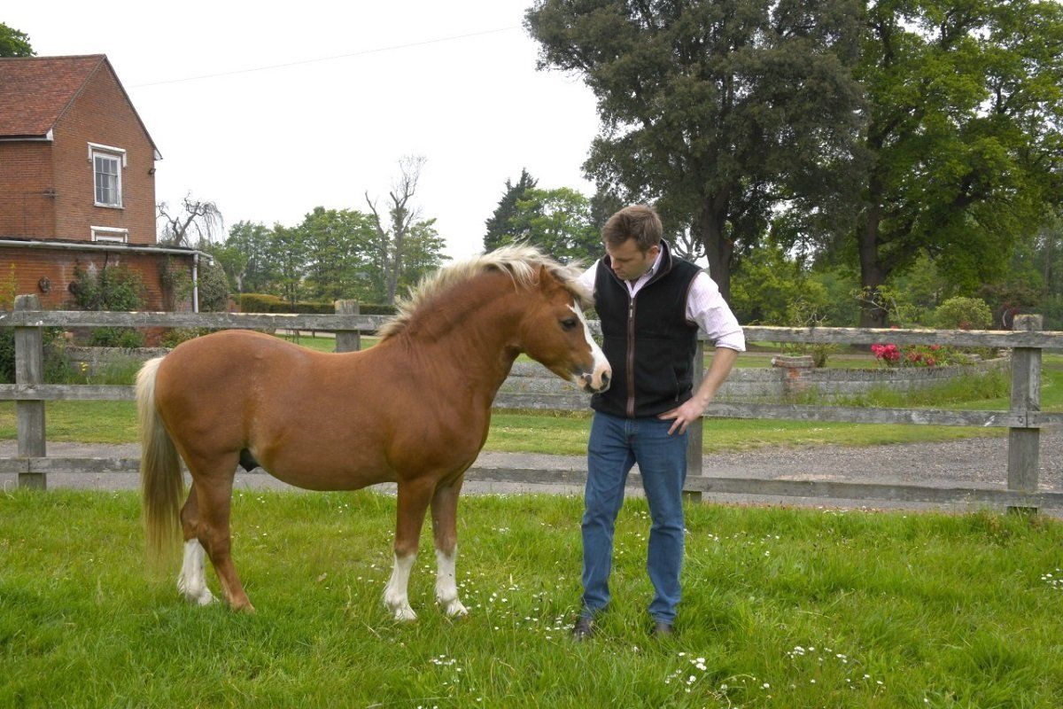 Tendring Pet Cremation Ltd - Manningtree, Essex - About Us