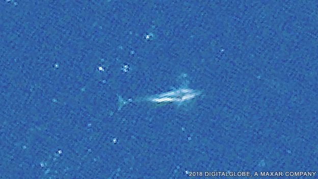 Whales counted from space by scientists using satellite imagery