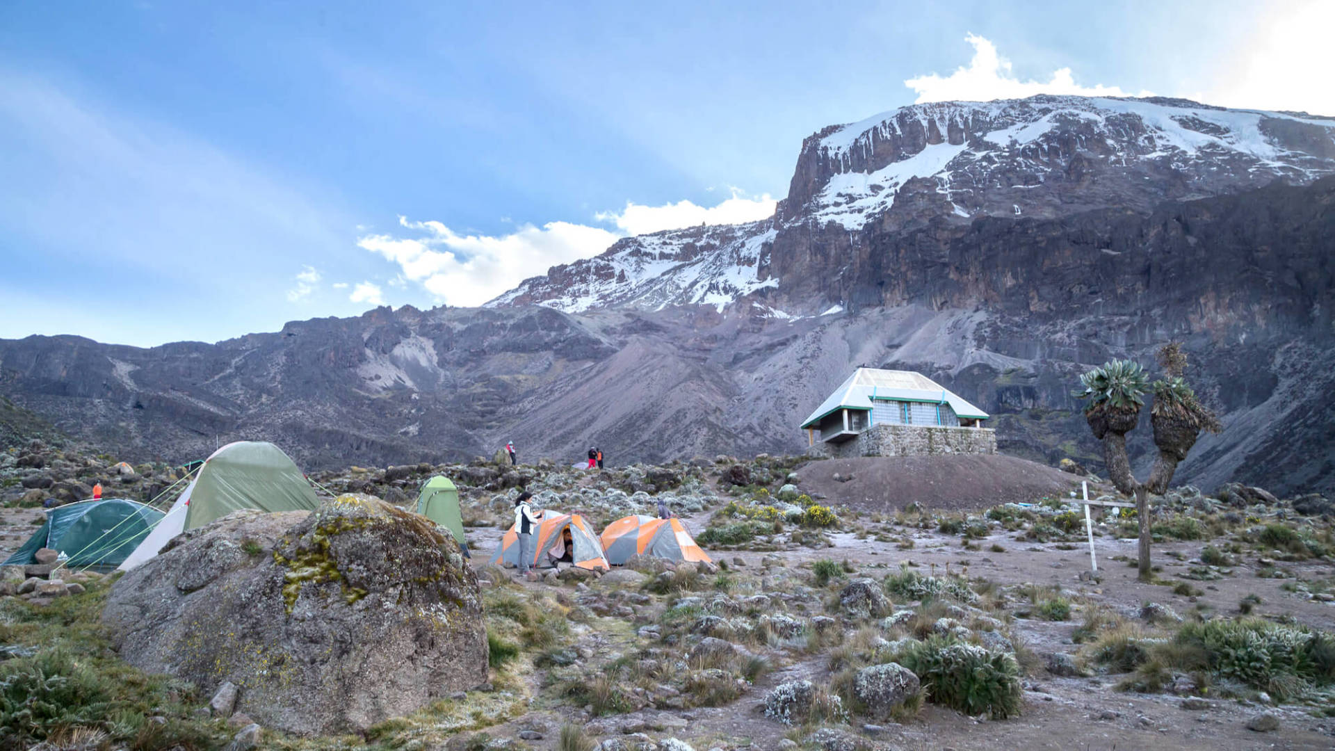 Kilimanjaro Machame Route - Hike and Safari - eXplore Plus