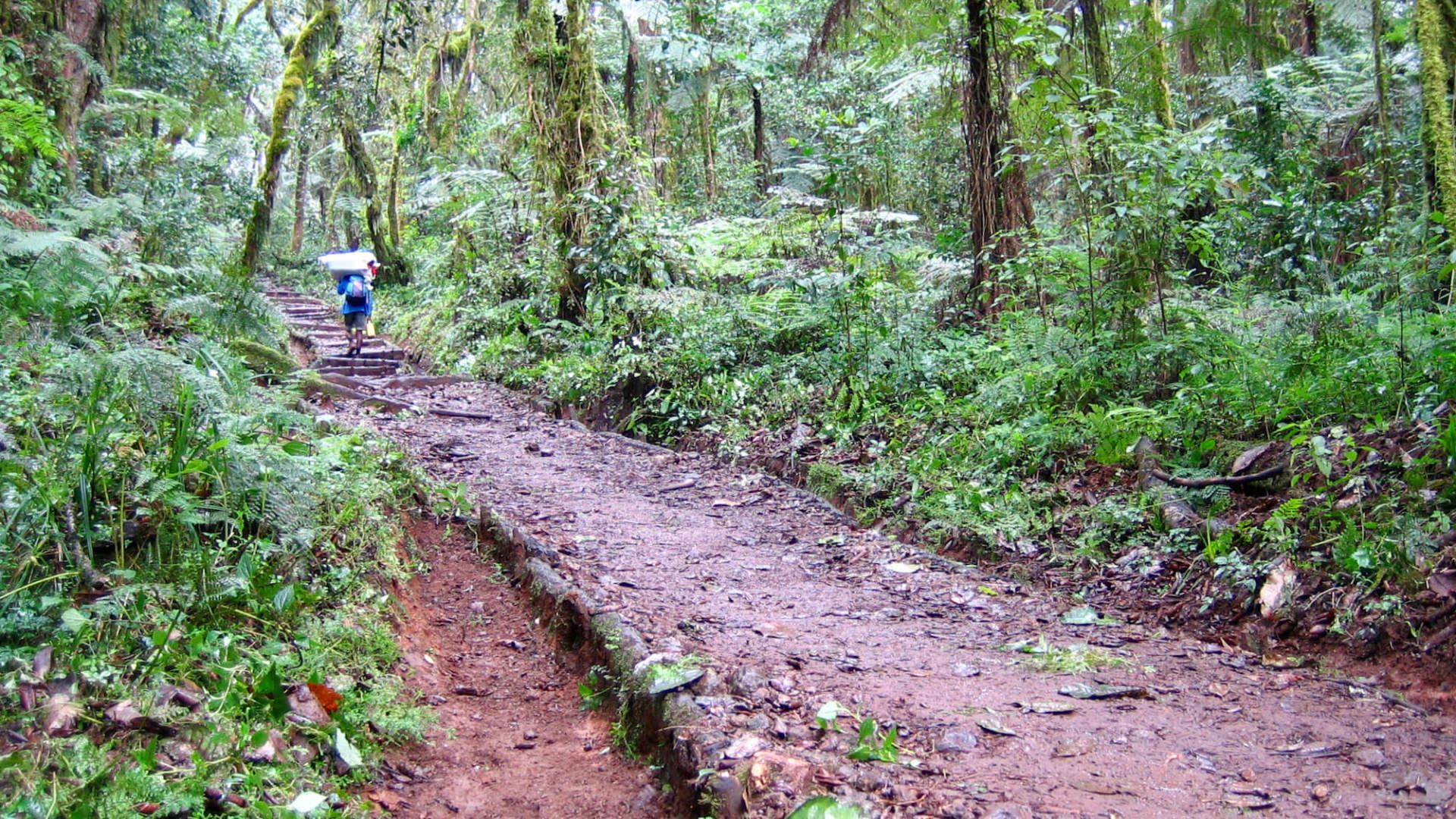 Kilimanjaro Marangu 6-Day Route - eXplore Plus Travel & Tours