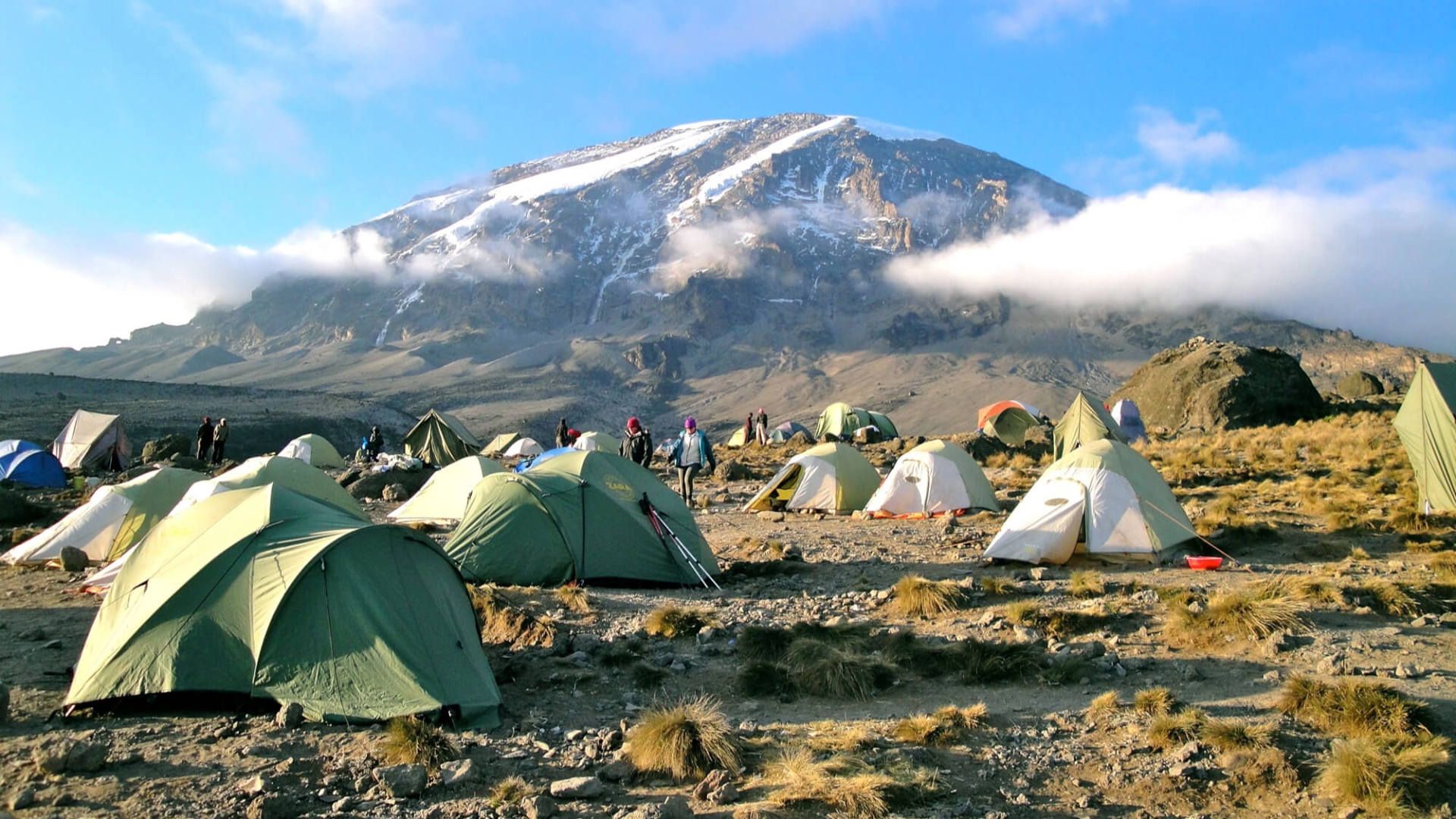 Kilimanjaro Umbwe Route - Hike and Safari - eXplore Plus