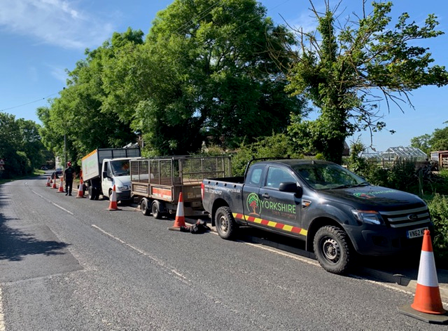 Tree surgeon | Yorkshire Tree Surgery