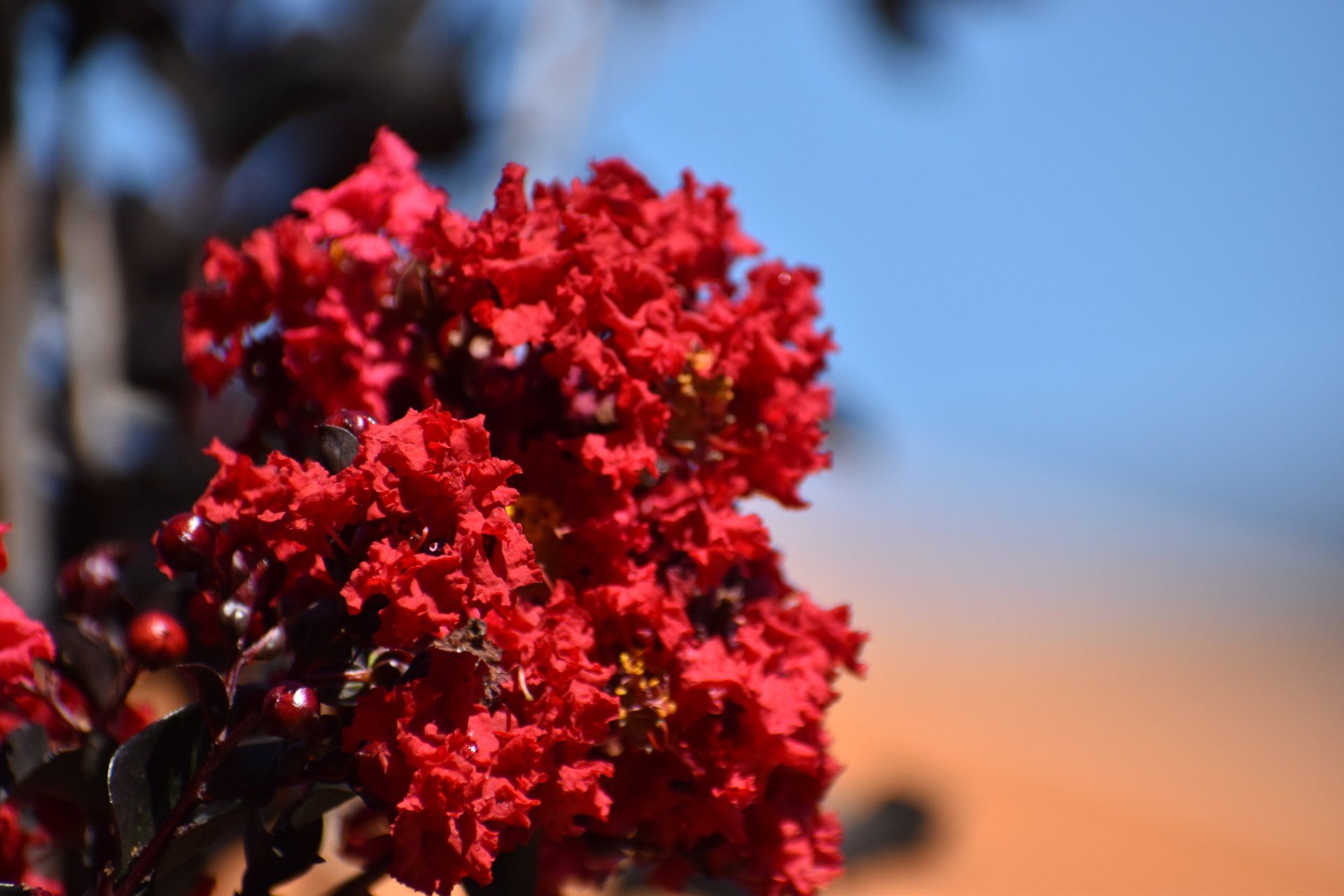 Lee Rowans Gardenworld