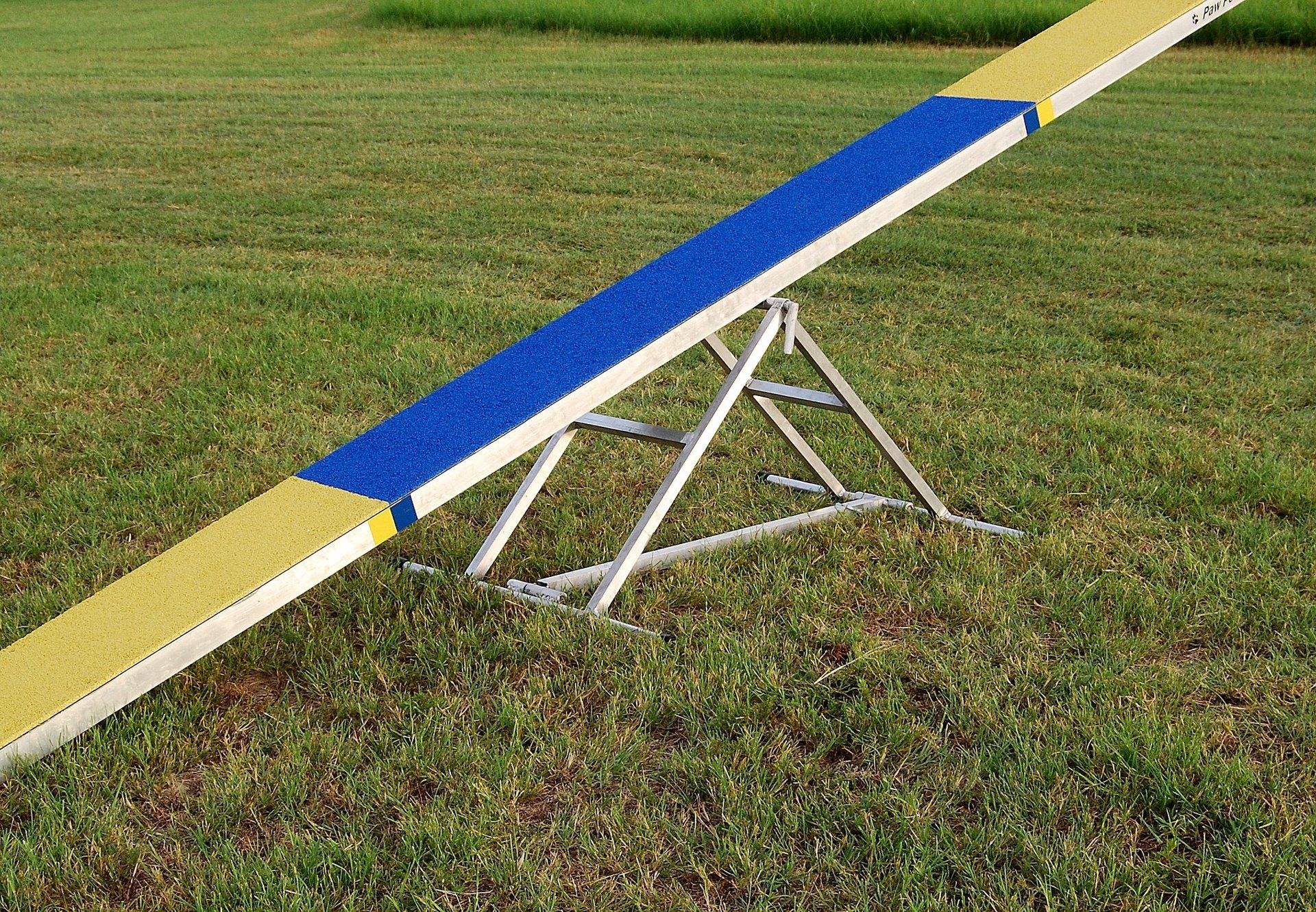 Paw Power Agility Equipment | Photo Gallery