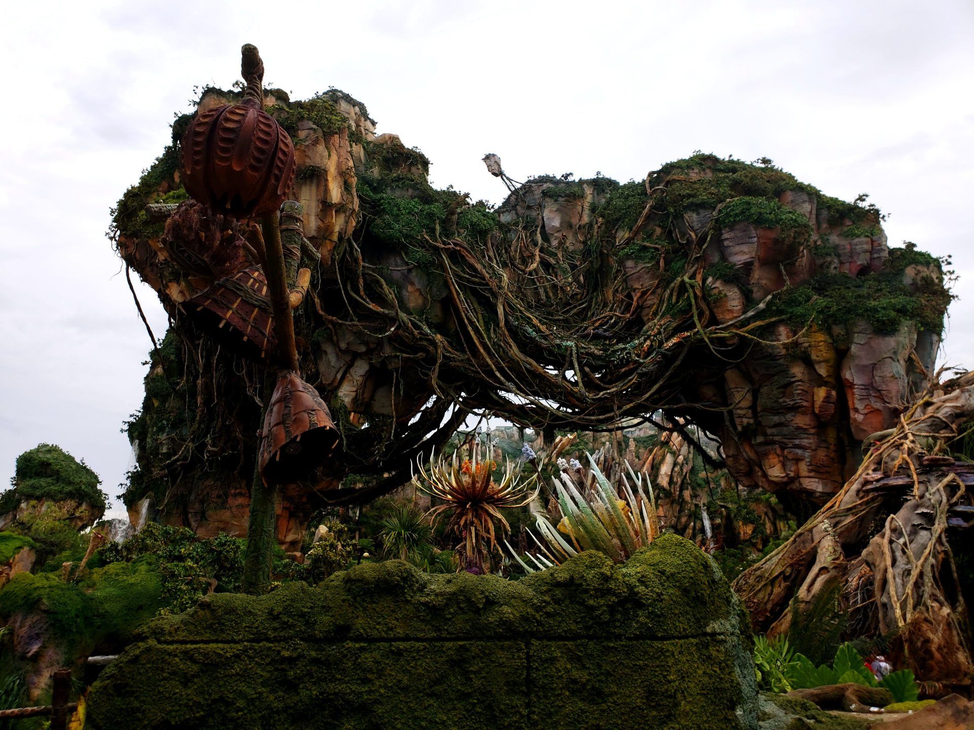 The Beauty of Pandora