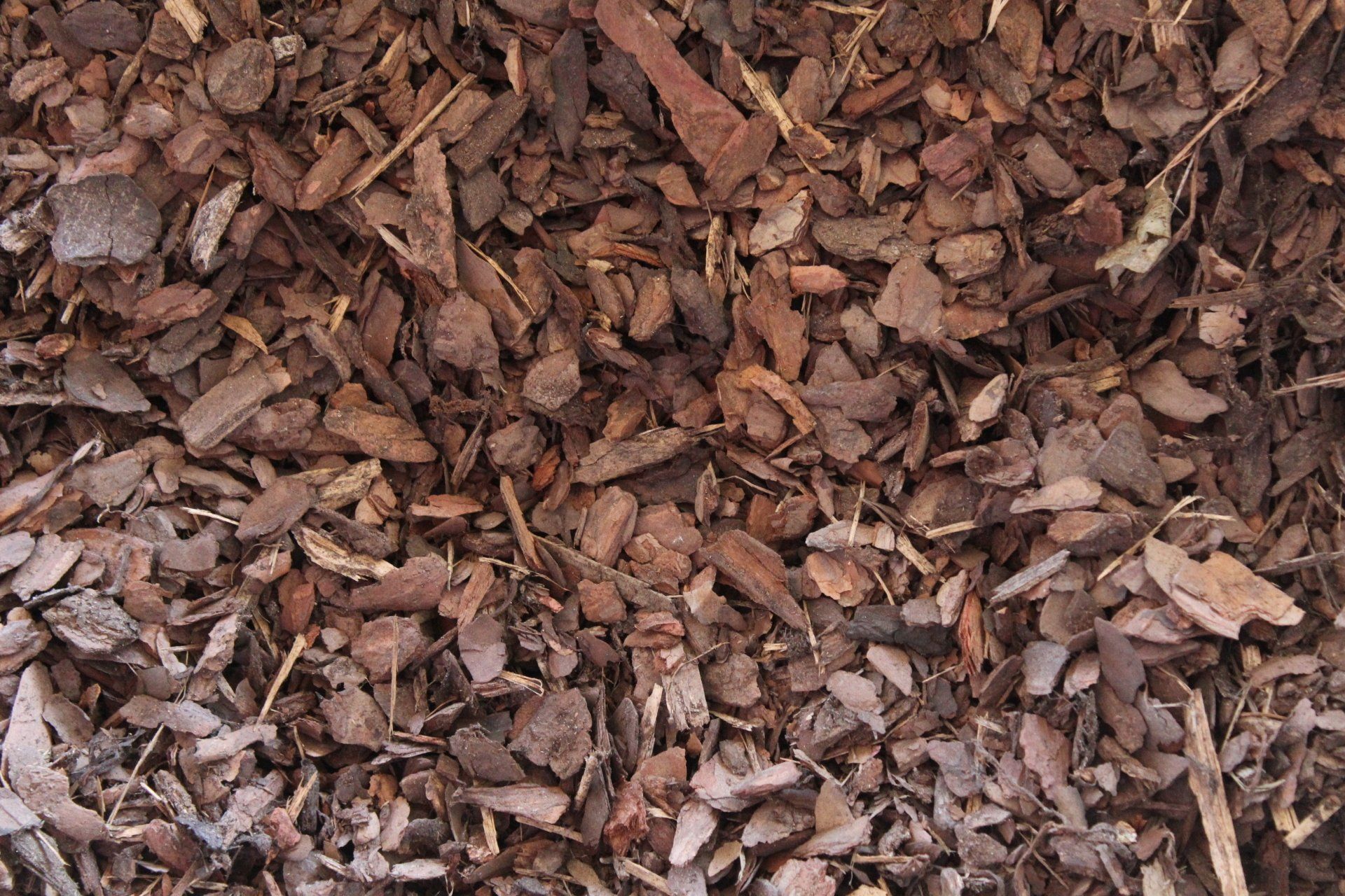 Ecorces de pins sylvestre 10/30