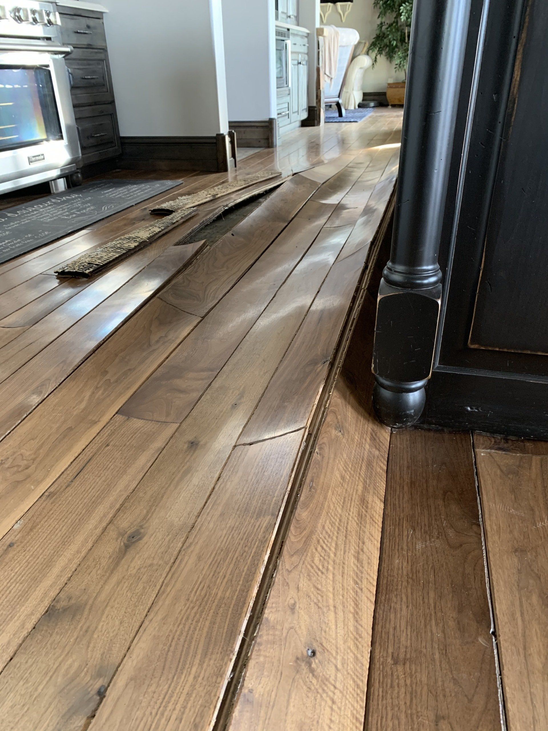 Loba Invisible Protect