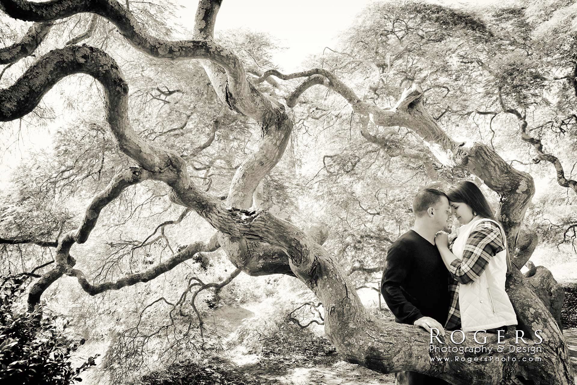 Connecticut wedding photographers Rogers Photography