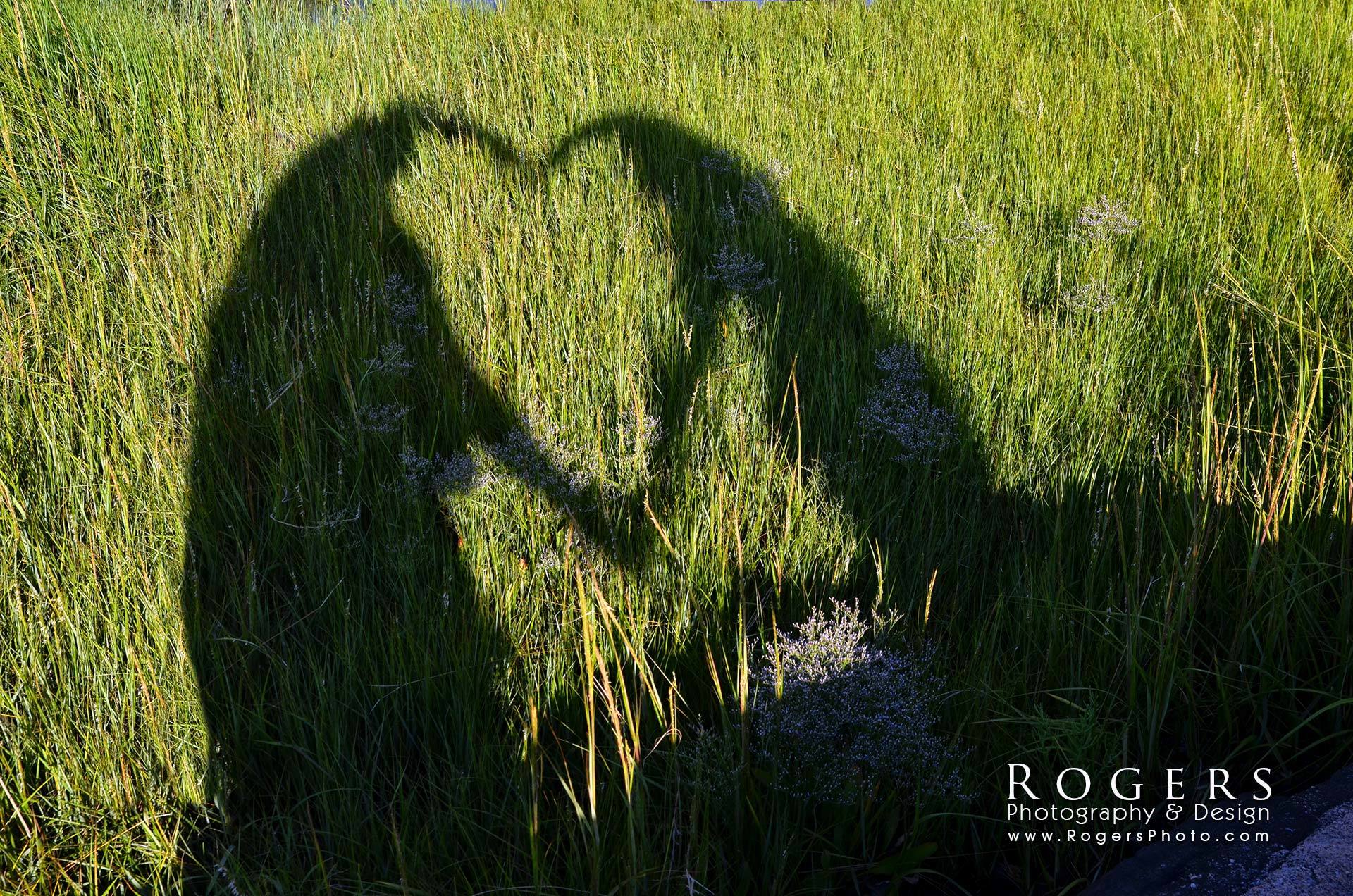 Connecticut wedding photographers Rogers Photography