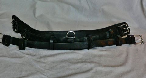 In Stock - Harness Specials