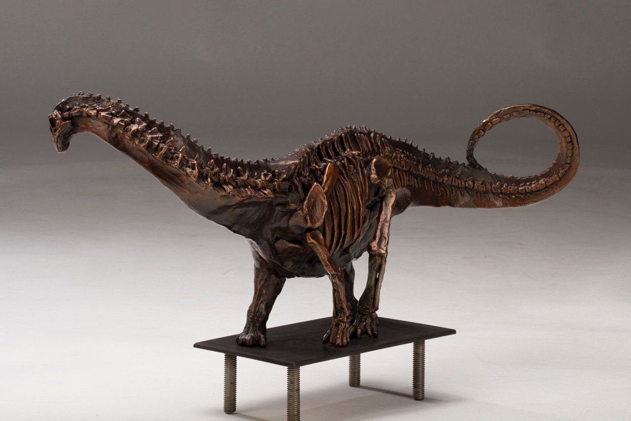 Galeamopus Skeletal Study in Bronze