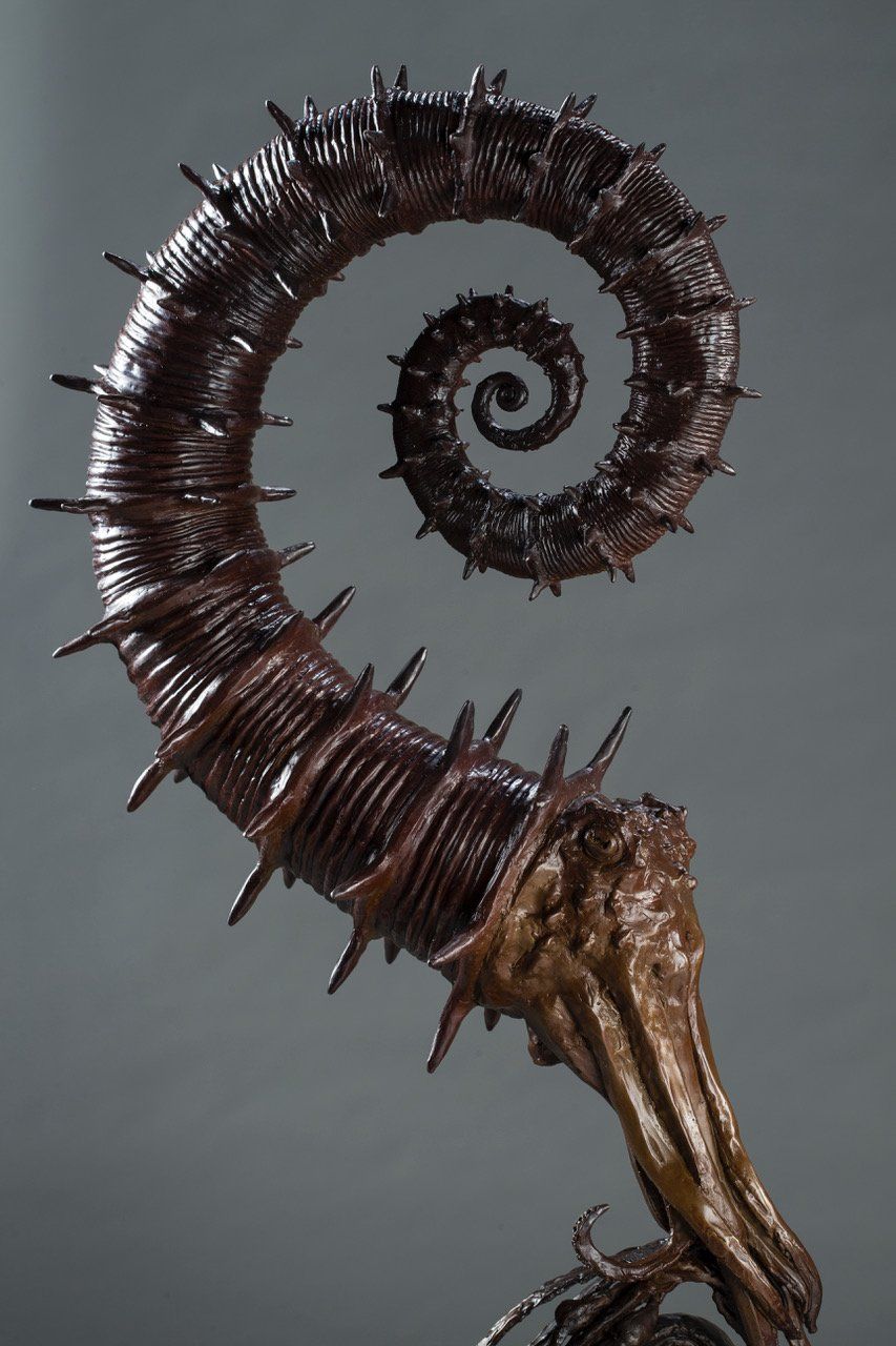 Heteromorphic Ammonites Bronze Art