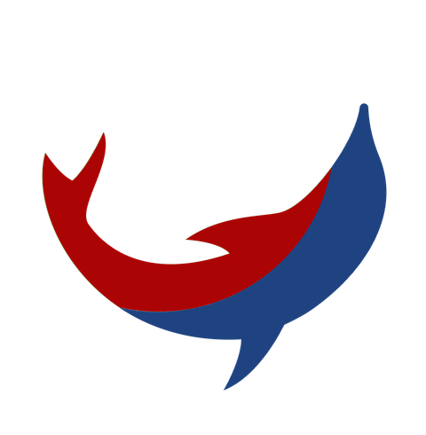 Collection spas de nage