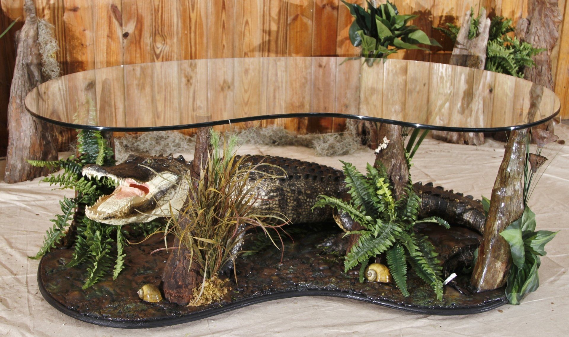 Florida Taxidermist, Alligators, Wild Boars, Hogs, Deer