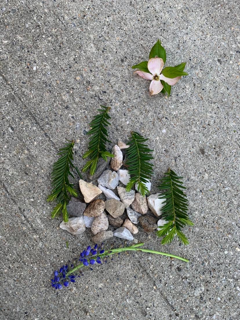 Let's Make a Nature Collage!