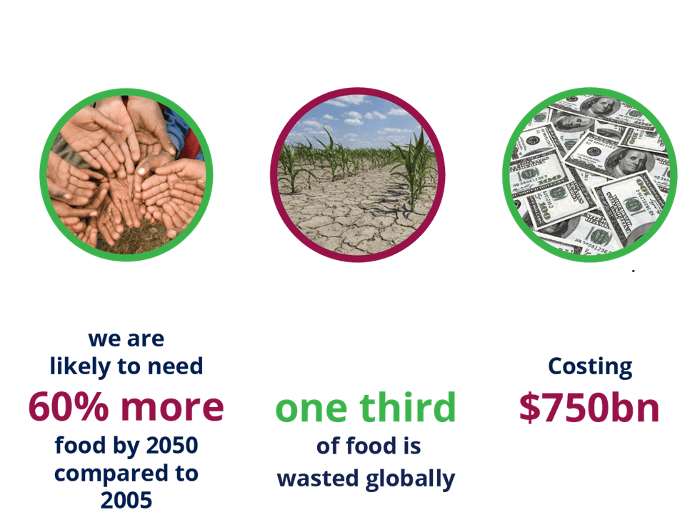 Manufacturing the elimination of food waste