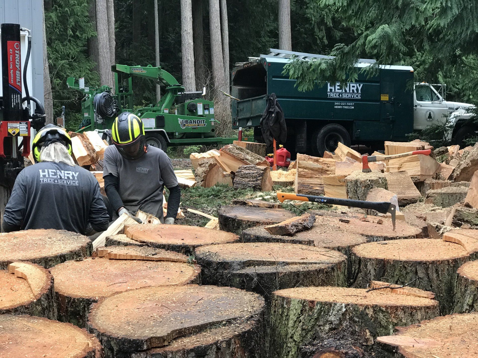Henry Tree Service Photo Gallery of activities on Whidbey Island, WA
