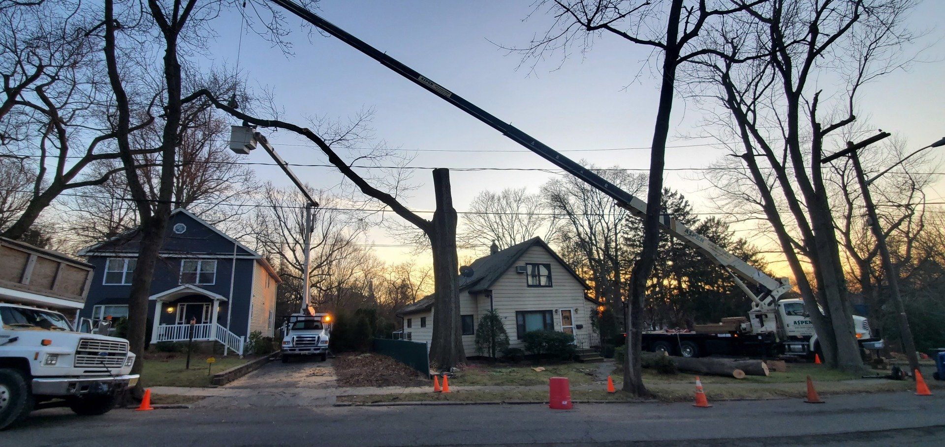 Aspen Tree Inc. - Home