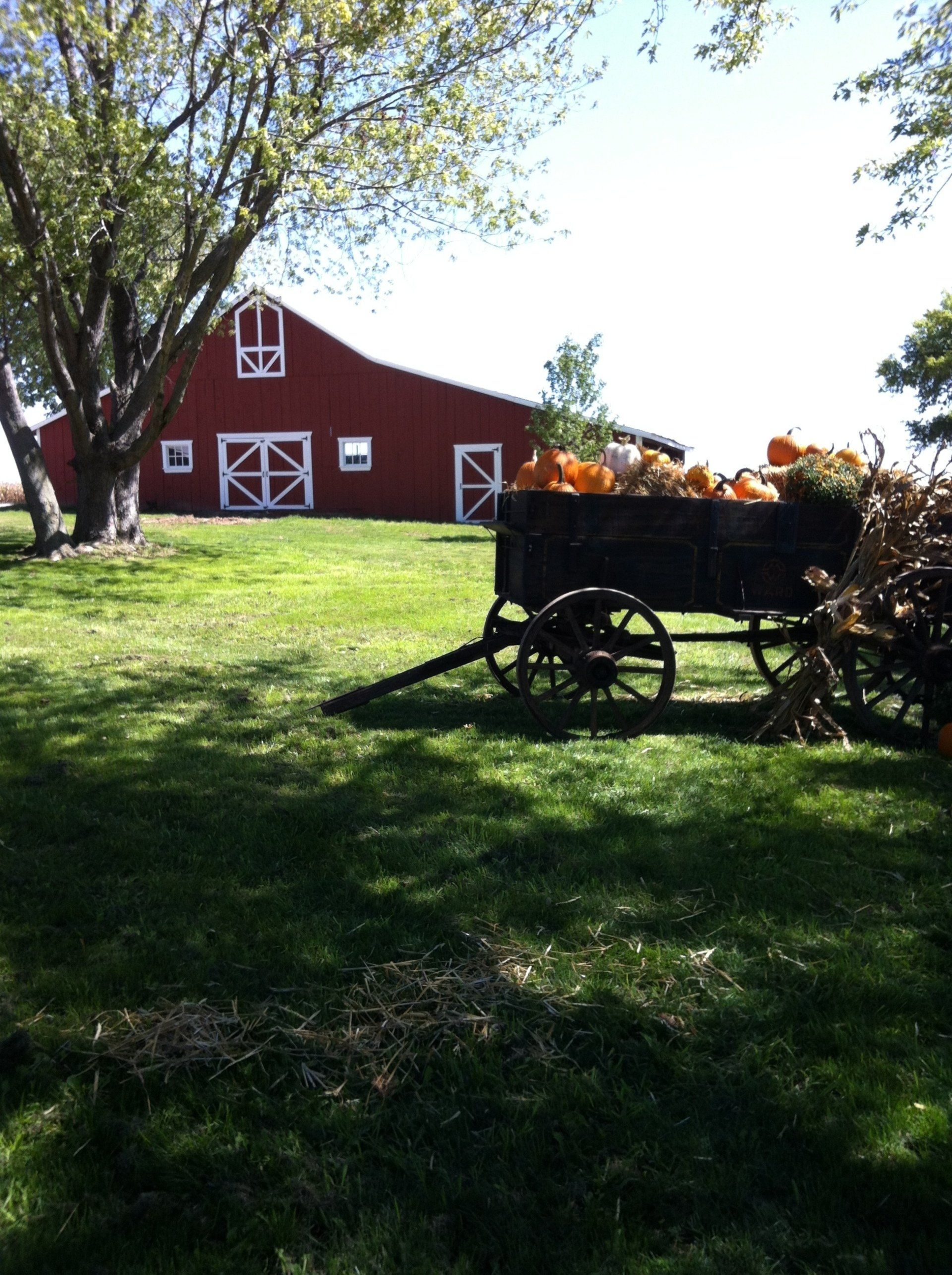 Farmstead Venue | Petersburg, IL | Indian Creek Farmstead LLC