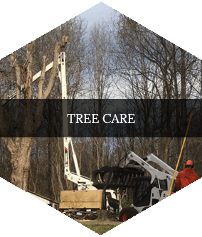 Miller Tree Service | Tree Service | Winston Salem, Pfafftown ...