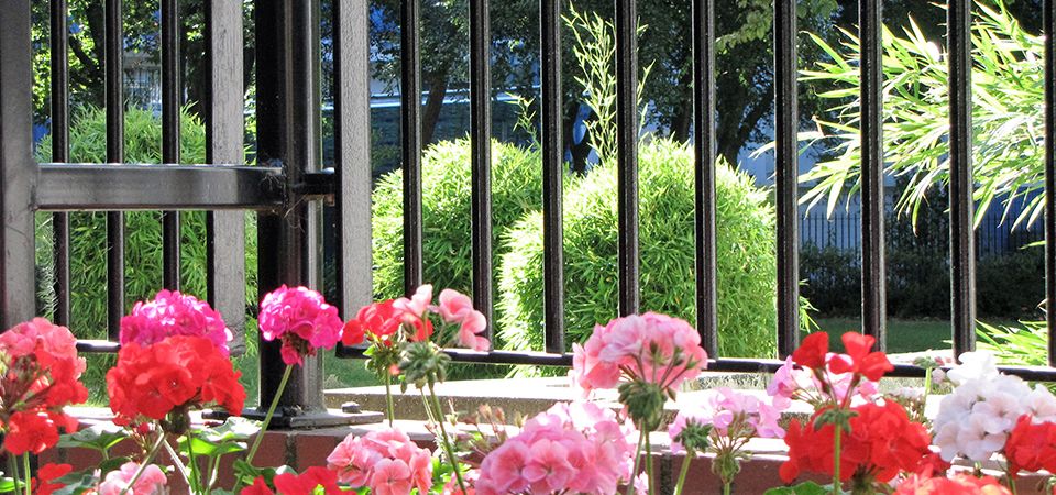 Aspect Maintenance Ltd |ground maintenance specialist | Essex