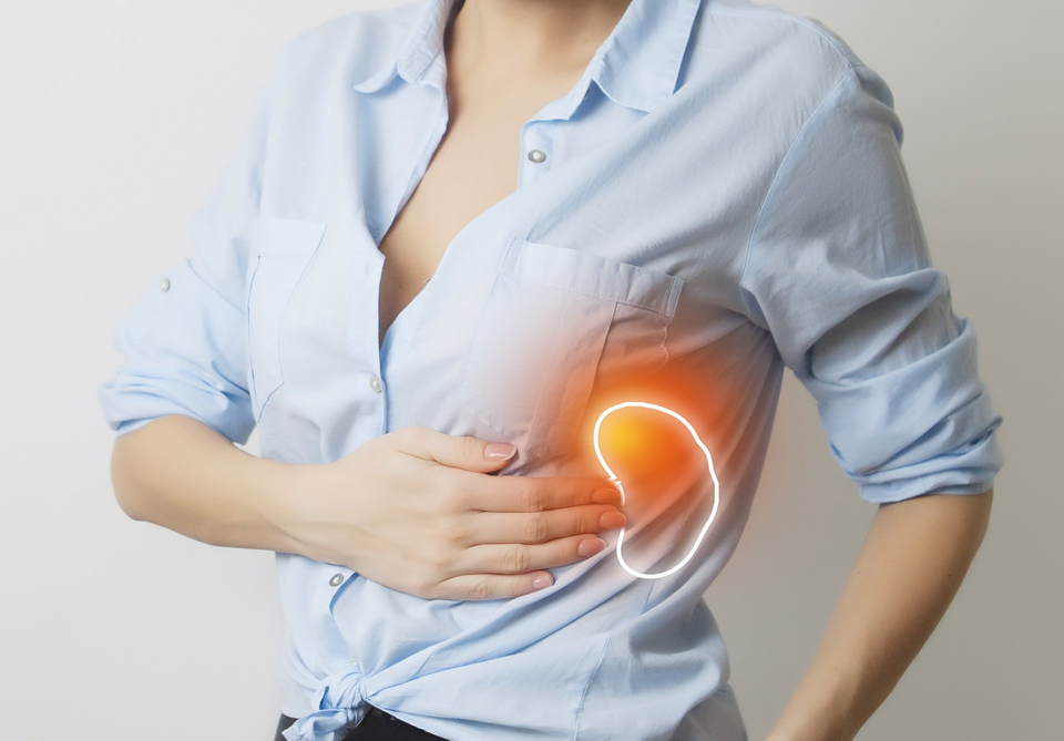 Signs Causes And Treatments Of An Enlarged Spleen Signs Causes And Treatments Of An Enlarged Spleen