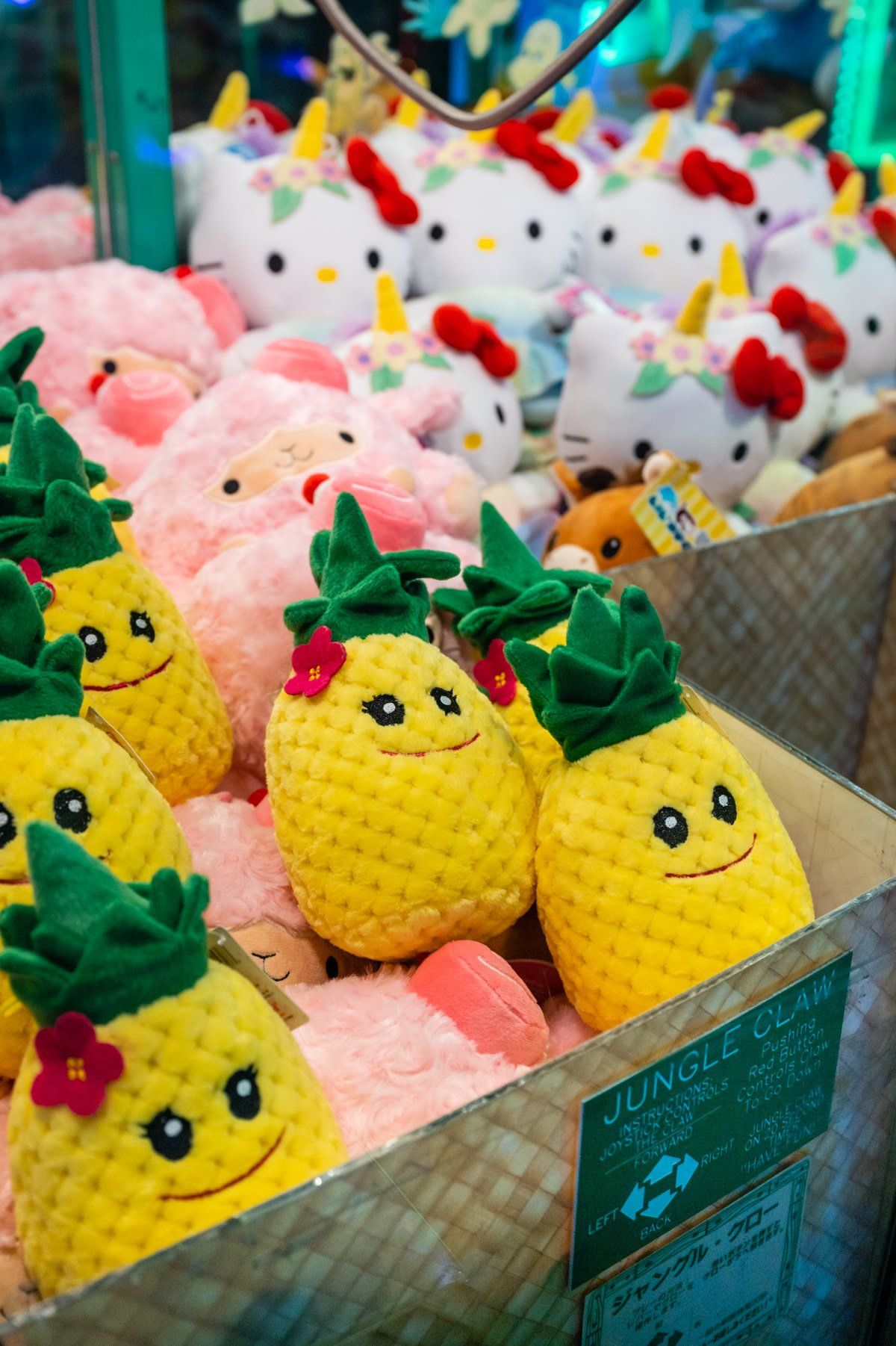 Jungle Fun Island - Honolulu, HI