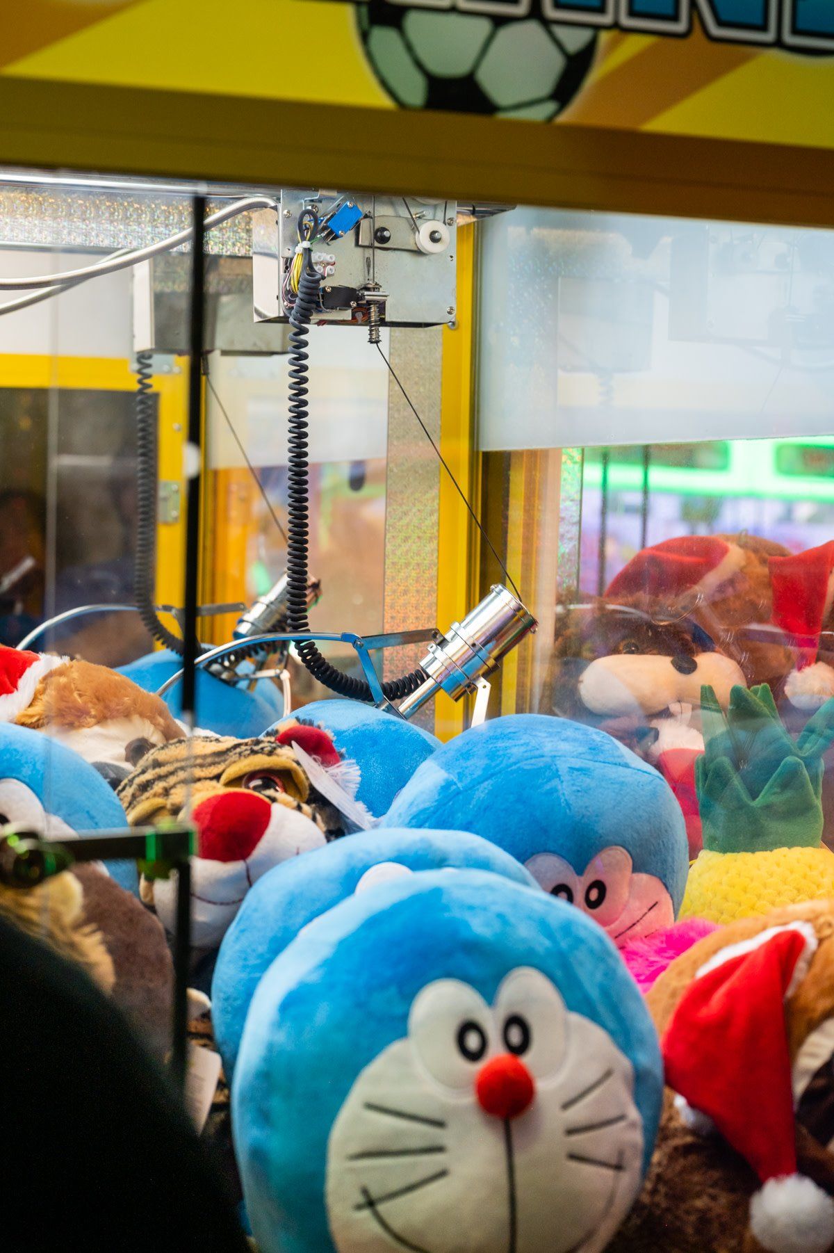 Jungle Fun Island - Honolulu, HI