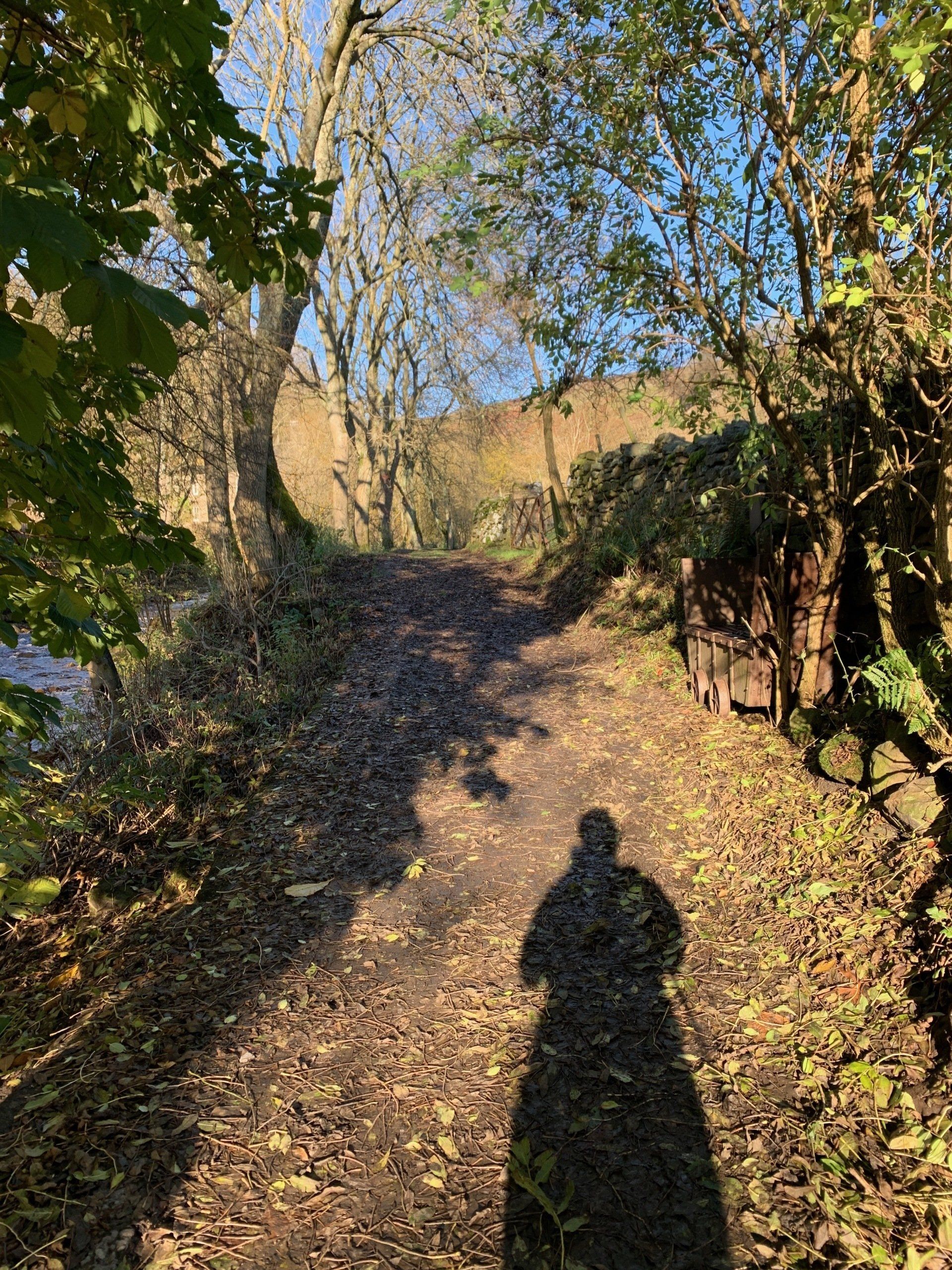 Gunnerside Gill walk