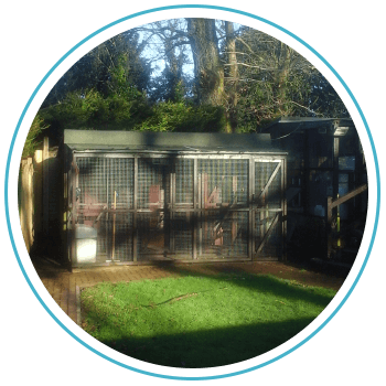 Roslyn Mews Cattery, reputable cat kennel in Sheffield