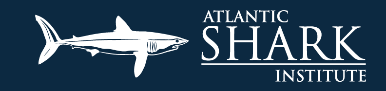 Shark Research - Atlantic Shark Institute