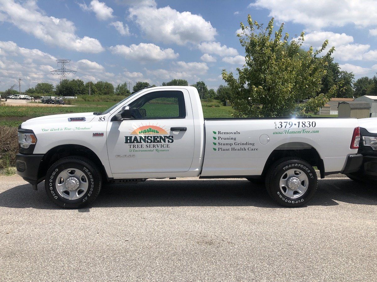 Tree Service Vehicle Wraps