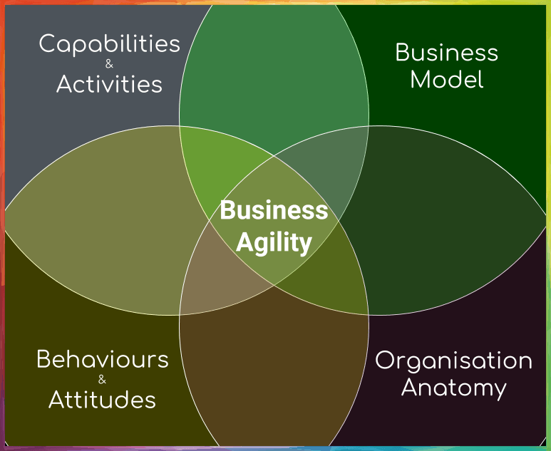 The Business Agility Model