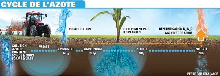 Comment fonctionnent les protecteurs d'azote?